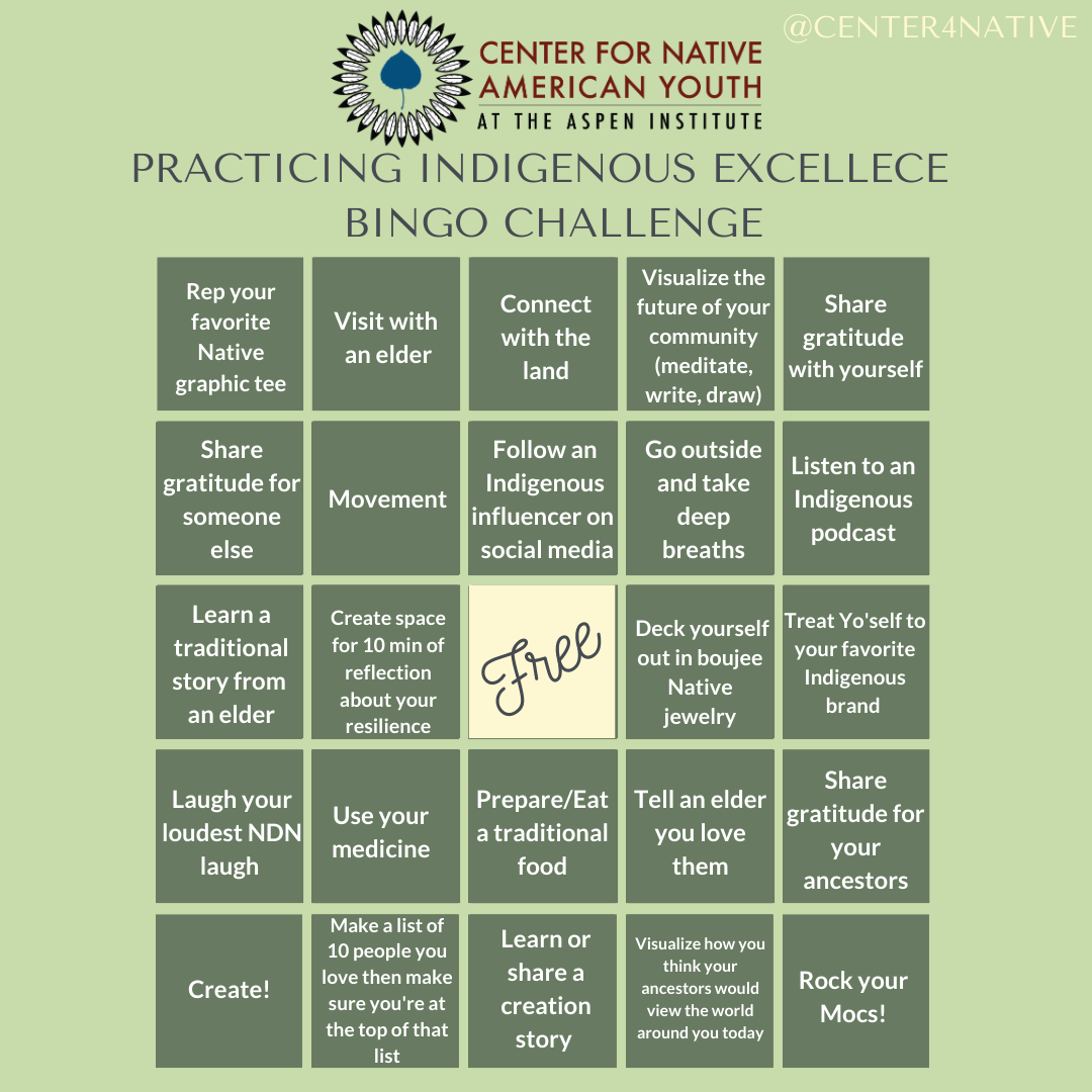 Native American Heritage Month Bingo Challenge - Center for Native ...